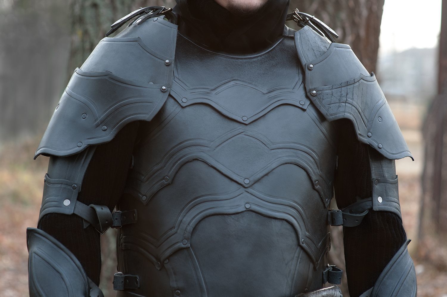 Armor Photogallery made by Steel-mastery.com